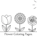 Beach Coloring Pages: 30+ Free Printable Sheets For Kids